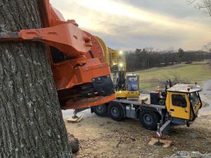 Current Product Lines